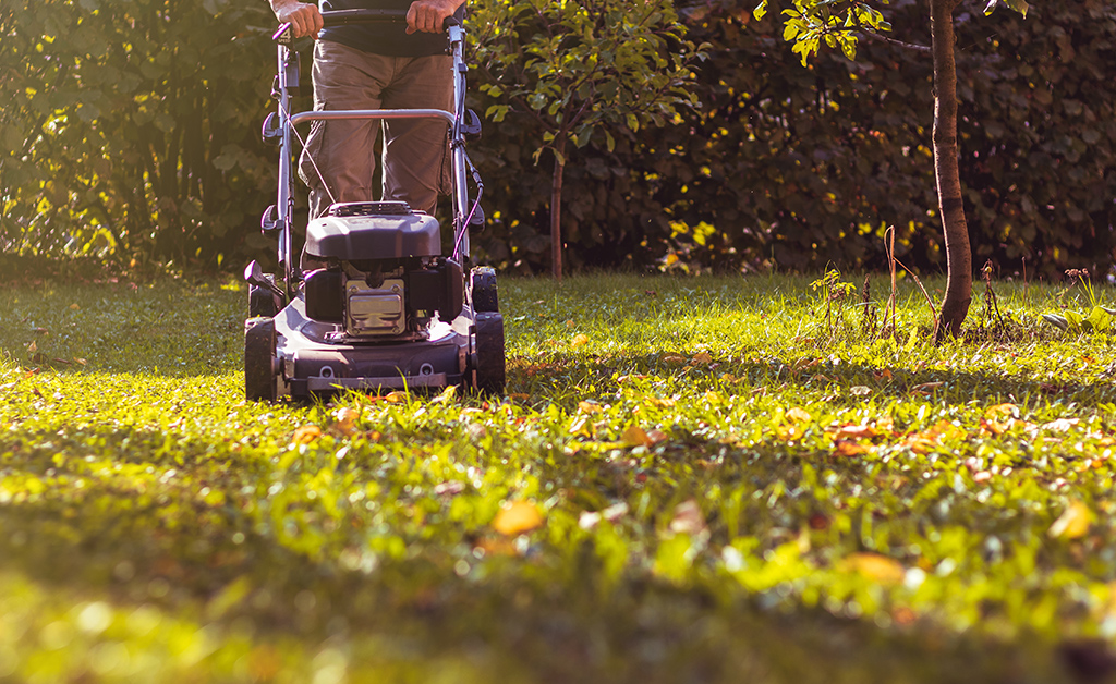 Mowing the grass with a lawn mower in garden at early autumn - Better ...