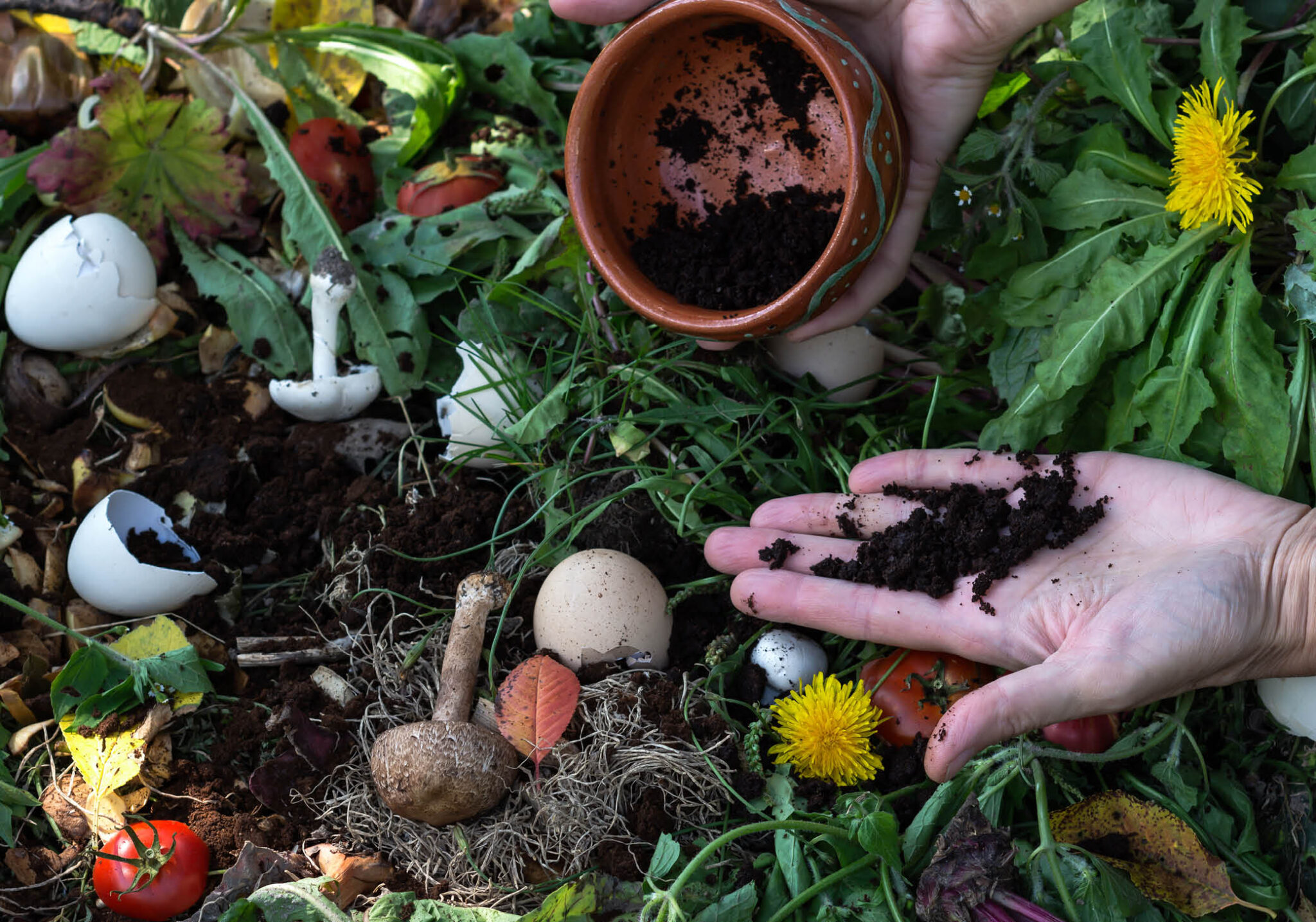 How to Make a Compost Pile | Better Homes and Gardens® Real Estate