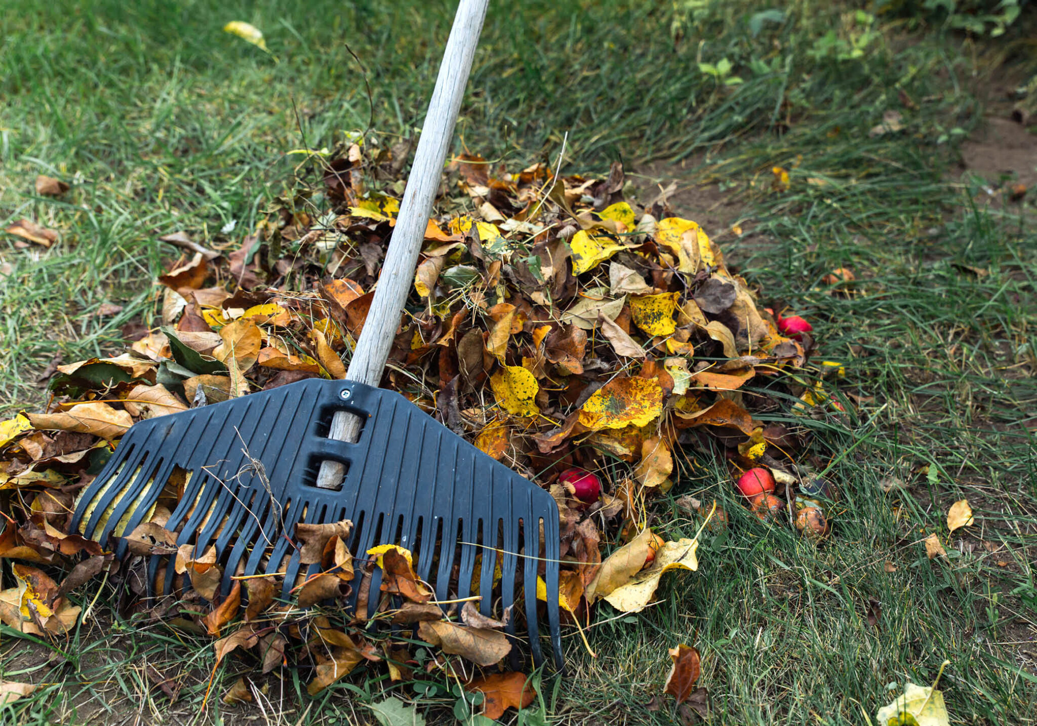 How to Make a Compost Pile | Better Homes and Gardens® Real Estate